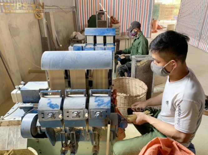 Quy trình để tạo ra một chiếc cốc làm từ tre – Cups.vn The best cups ...